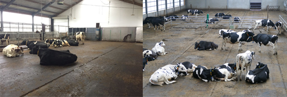 | ID Agro - Partner in innovatie