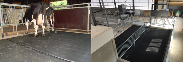 | ID Agro - Partner in innovatie